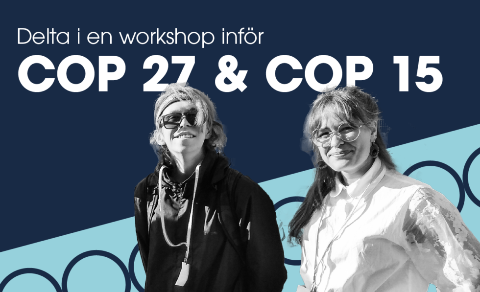 Delta i Workshop inför COP27 och COP15 - LSU